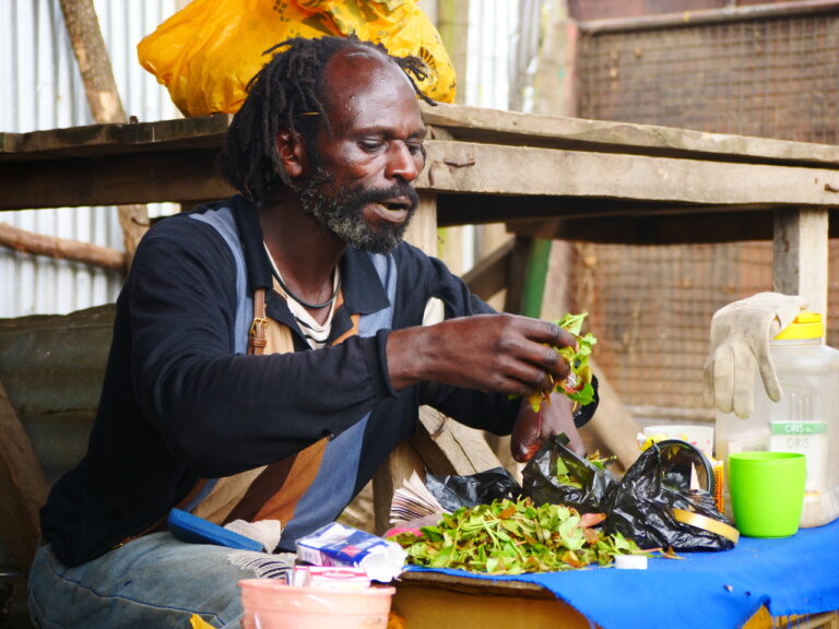 The Life Cycle of Miraa in Kenya - The Elephant